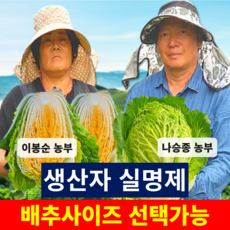 절임배추 - 배추 | 쿠팡