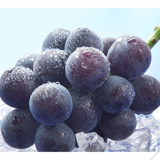 쿠팡이 추천하는 포도마트 관련 혜택과 특가