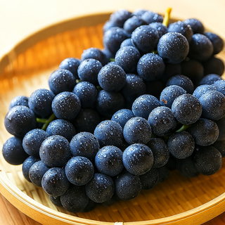 쿠팡이 추천하는 포도마트 관련 혜택과 특가