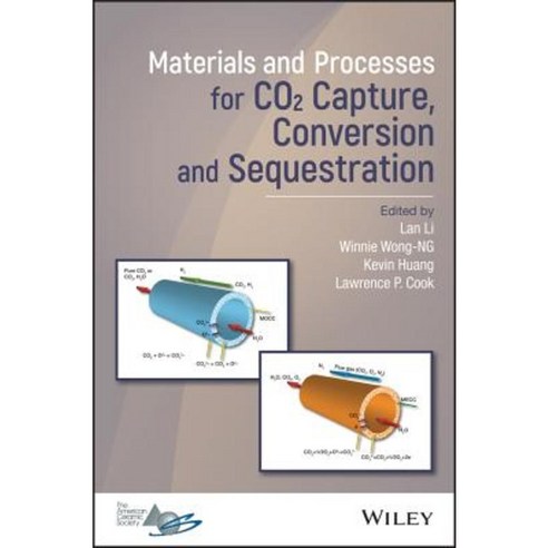 Materials and Processes for Co2 Capture Conversion and Sequestration 精裝 ...