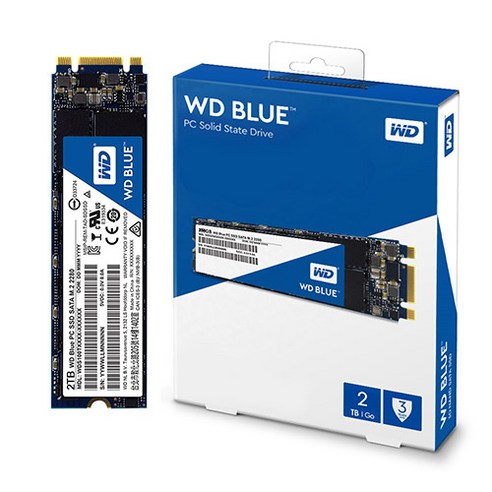 WD Blue M.2 SSD - SSD | 쿠팡