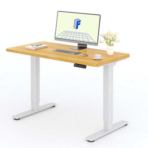 FlexiSpot 듀얼모터 모션데스크 EJ2 전동 높낮이조절책상 컴퓨터책상 A/S 5년 높이700-1190mm 내하중100KG - 일반책상 | 쿠팡