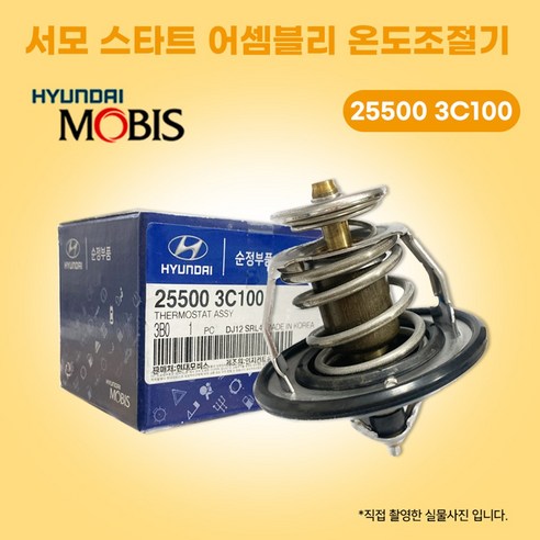 현대모비스 서모스텟 온도조절기 255003C100 순정부품 서모스타트 오링포함 패킹포함 - 인터쿨러/라디에이터 | 쿠팡