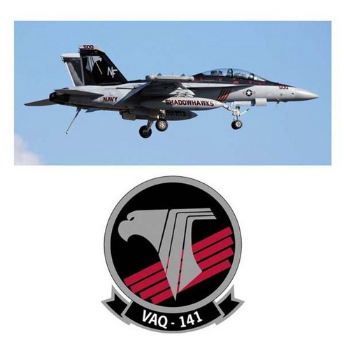 1/72 EA-18G 그라울러 USS 로널드레이건 CVW-5 CAG - 전투기/제트기 | 쿠팡