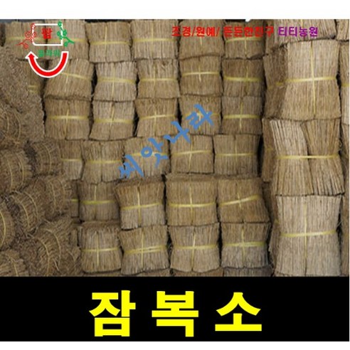 잠복소/바람막이 60cm x 20m - 꽃씨앗 | 쿠팡