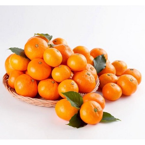 올레농원 서귀포 고당도 감귤, 10KG 중대과(L..., 1박스 - 귤 | 쿠팡