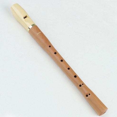 Hohner 호너 소프라노 리코더 Melody Line Soprano C wood 리코더(B9514)-바로크식 - 리코더 | 쿠팡