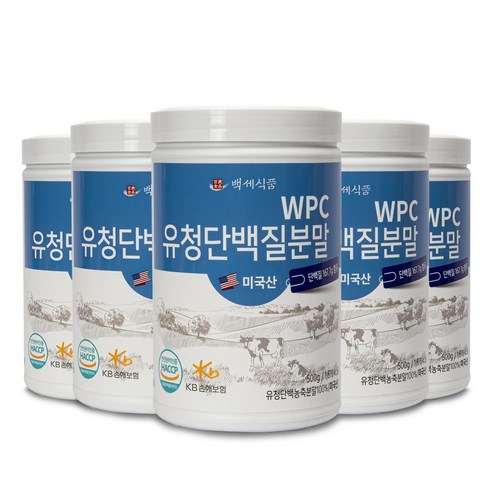 WPC 유청단백질 분말 500g 통 미국산100% HACCP 인증제품, 500g, 5개 - 건강 분말 | 쿠팡