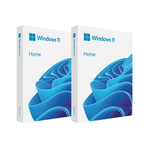 마이크로소프트 Windows 11 Home 처음사용자용 FPP USB 영구사용 - 운영체제 | 쿠팡